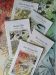 MWF MARKETPLACE – Michigan Wildflower Farm